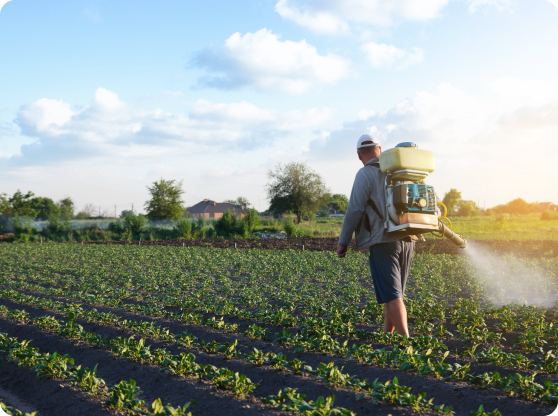 Giới Thiệu Về May Farm